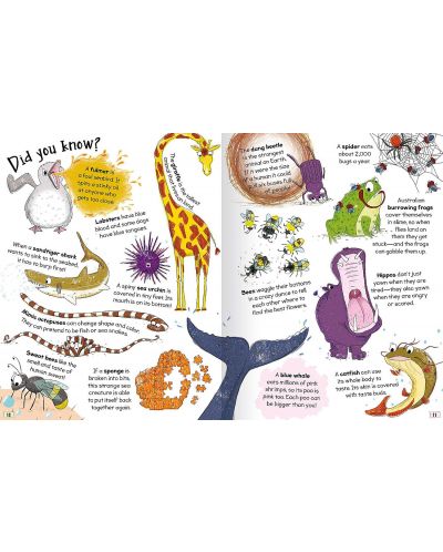 Curious Questions and Answers About Animals (Miles Kelly) | Camilla de ...