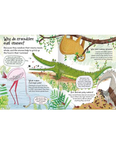 Curious Questions and Answers About Animals (Miles Kelly) | Camilla de ...