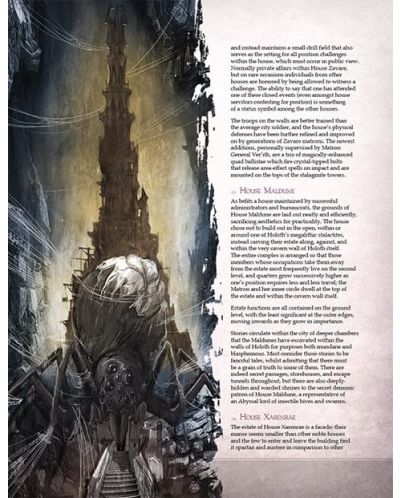 Ролева игра Dungeons & Dragons: Rise of the Drow (Collector's Edition ...