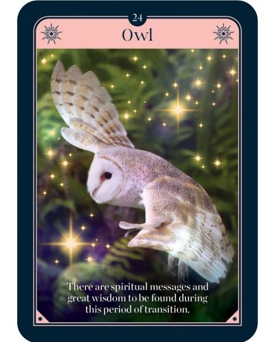 Fortune Oracle: 36 Gilded Cards and 88-Page Book | Шарина Стар | Цена ...