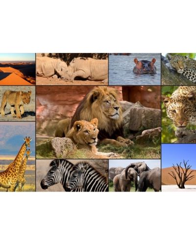 Пъзел Grafika от 1500 части - Дивата природа | Супер цена | Ozone.bg