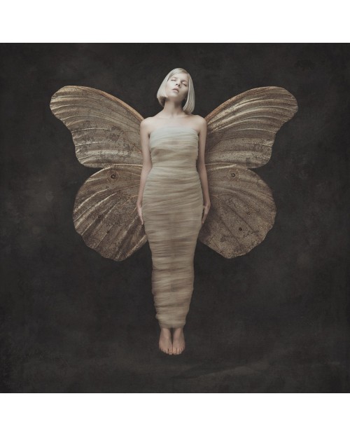 AURORA - All My Demons Greeting Me As A Friend (CD) Отлична цена | Ozone.bg