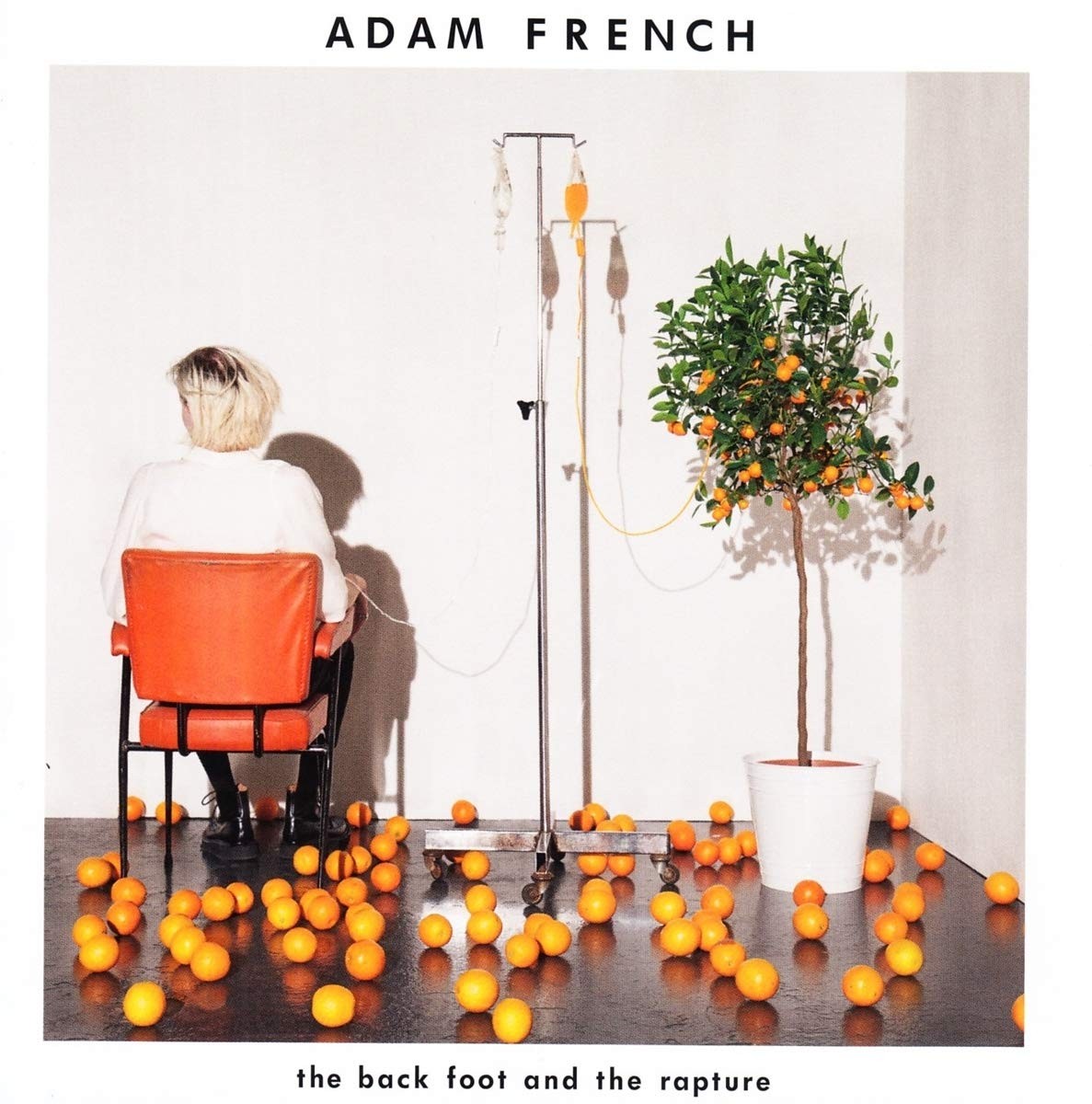 Adam French - The Back Foot And The Rapture (CD) Отлична цена | Ozone.bg