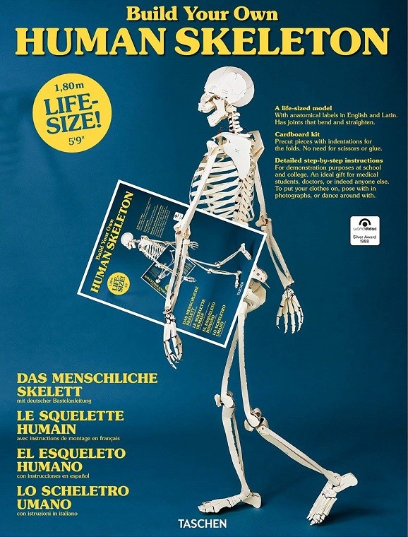 Build Your Own Human Skeleton - Life Size! | | Цена | Ozone.bg