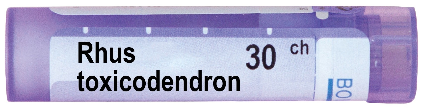 Rhus toxicodendron 30CH, Boiron | Ozone.bg