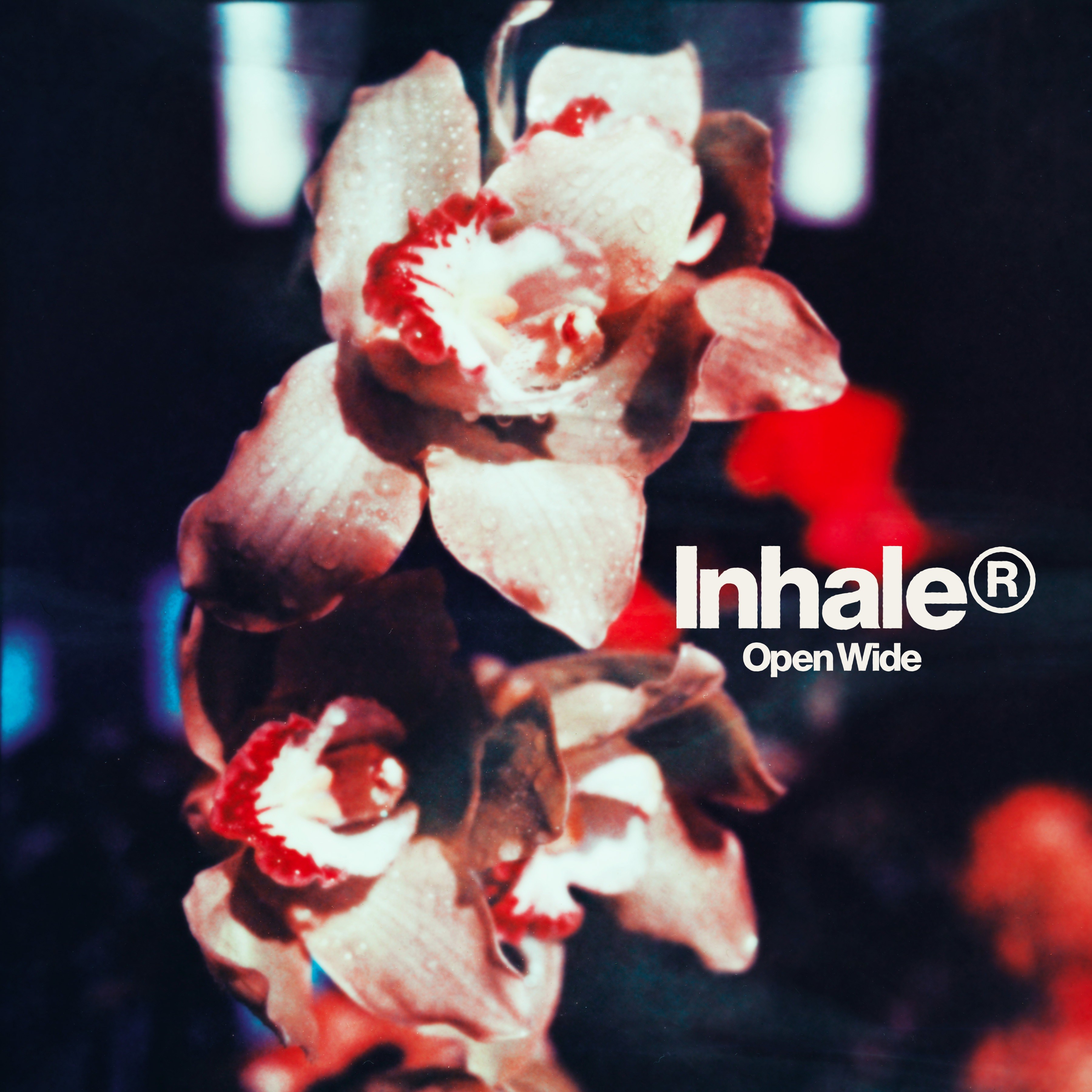 Inhaler - Open Wide (Vinyl) Отлична цена | Ozone.bg