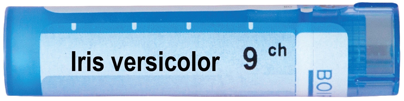 Iris versicolor 9CH, Boiron | Ozone.bg