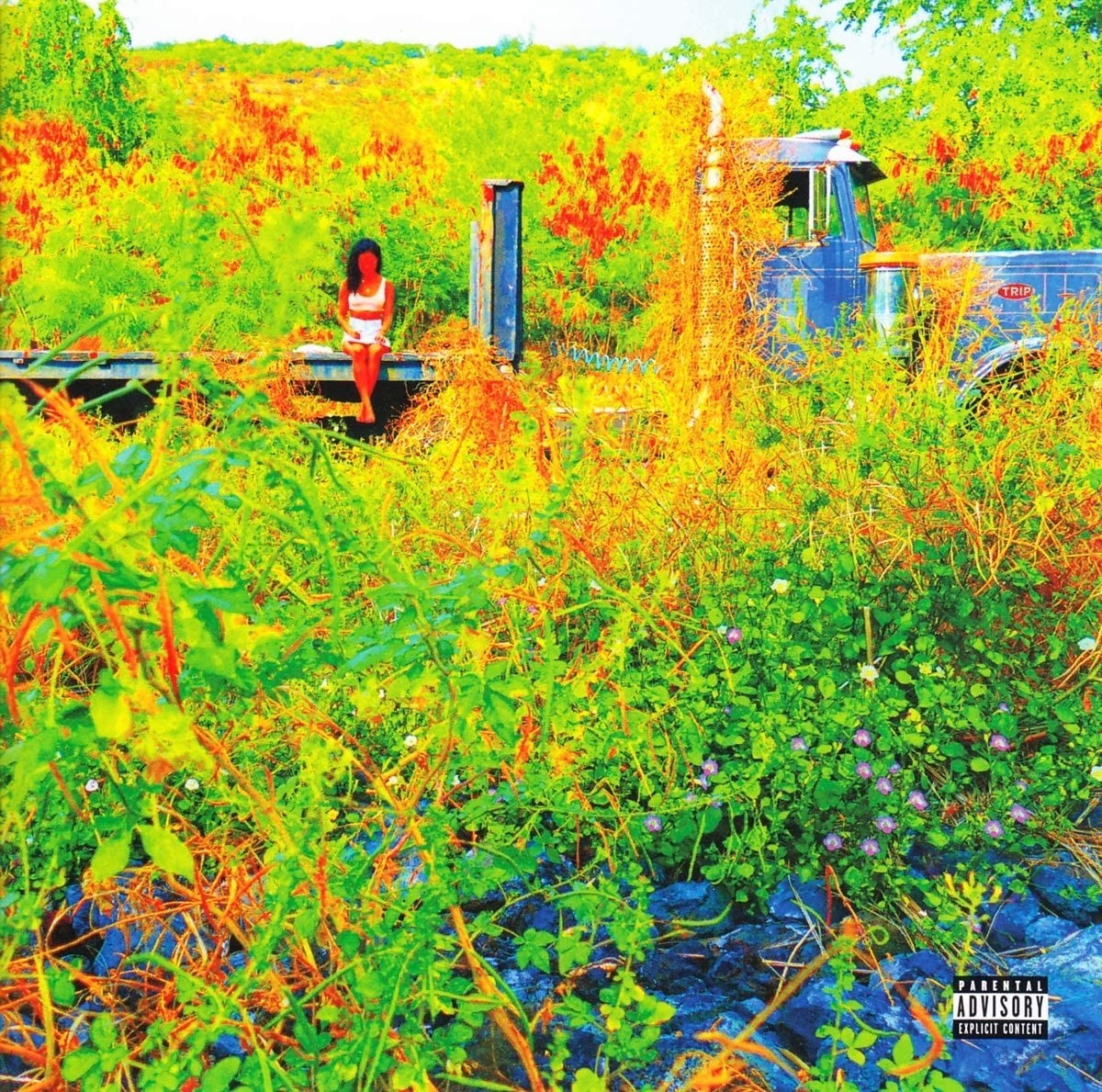 Jhené Aiko - Trip (2 CD) Отлична цена | Ozone.bg
