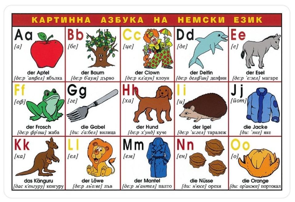 Картинна азбука на немски език - Учебна таблица (Скорпио) | Ozone.bg