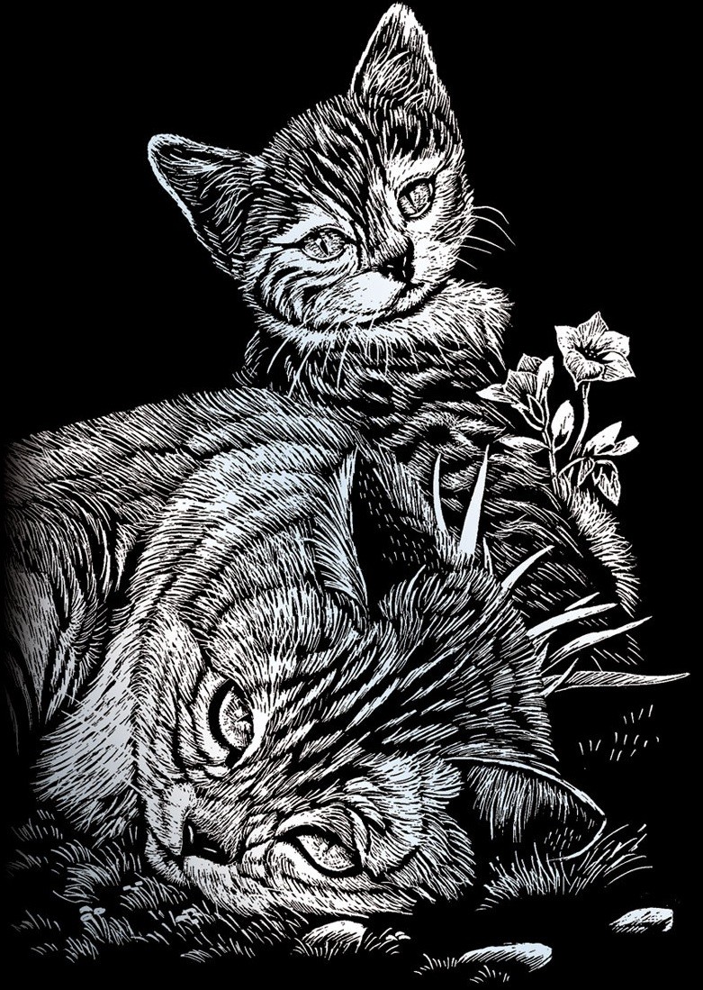 Комплект за гравиране Royal Silver - Котета, 13 х 18 cm | Ozone.bg