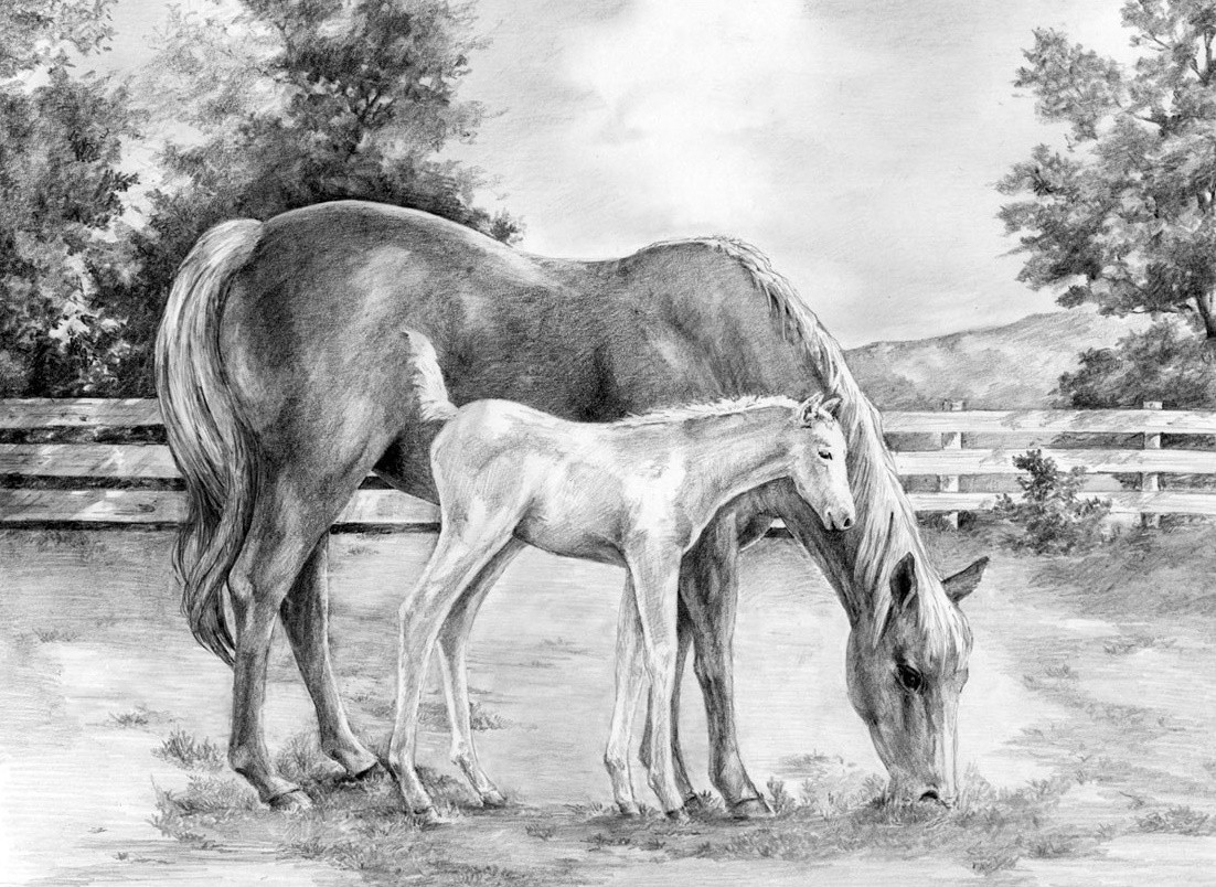 Комплект за рисуване с моливи Royal - Коне, графика, 29 х 39 cm | Ozone.bg