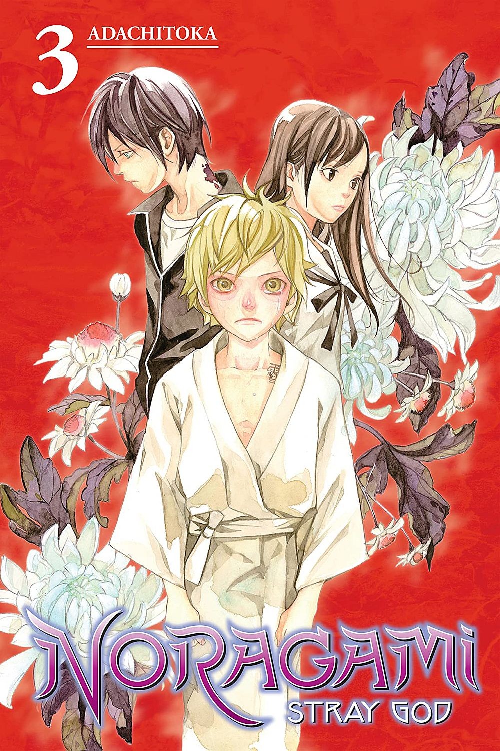 Noragami Stray God, Vol. 3: Fighting The Blight | Adachitoka | Цена ...