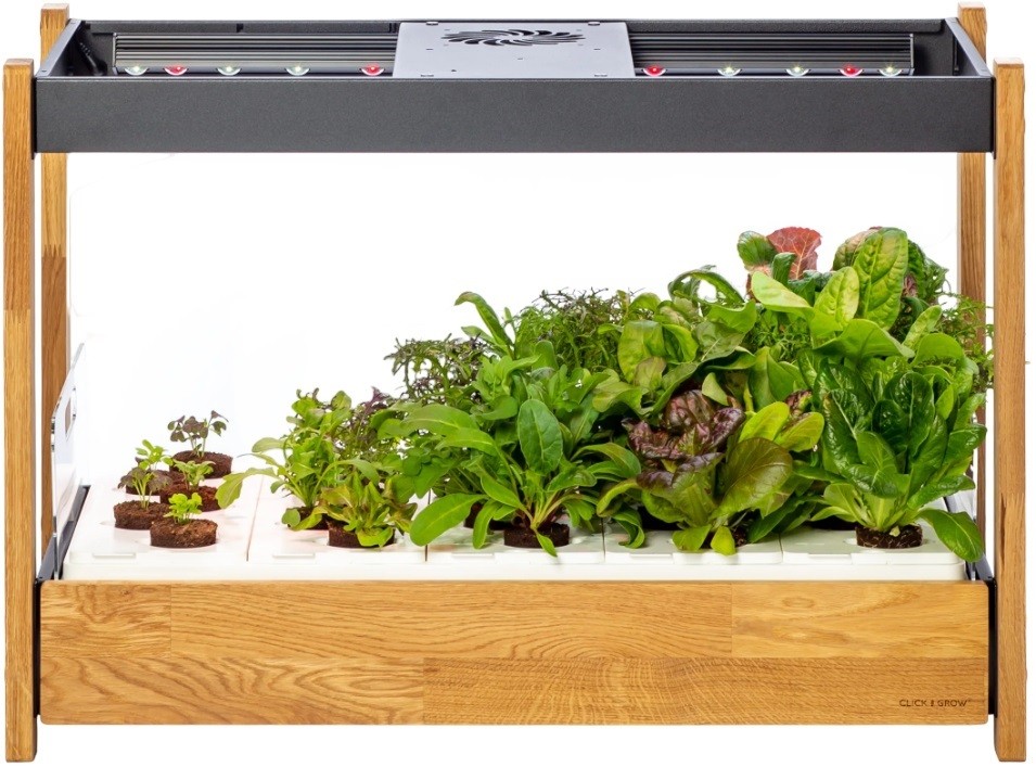 Смарт саксия Click and Grow - Smart Garden 25, черна | Ozone.bg