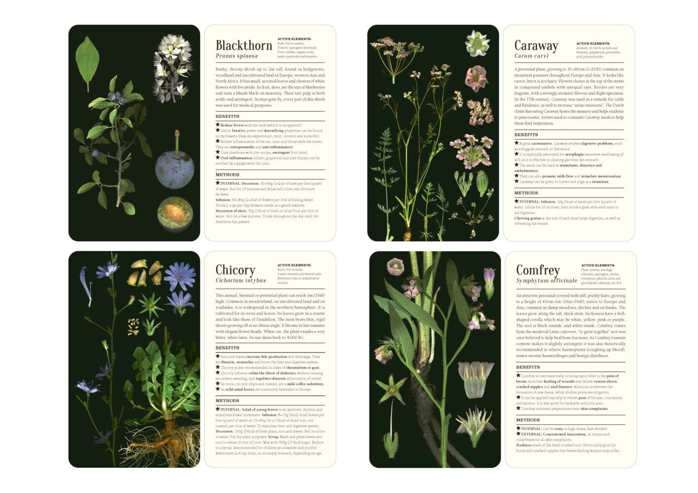 50 Plants that Heal: Discover Medicinal Plants - A Card Deck | Жерар ...