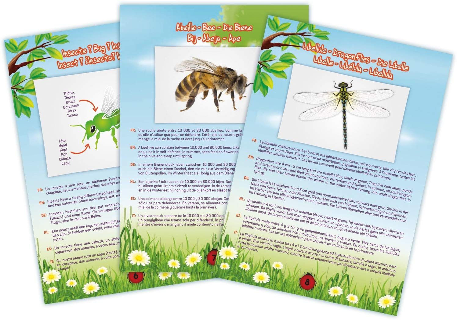 Изследователски комплект Buki Nature - Ваккум за насекоми | Отлична ...