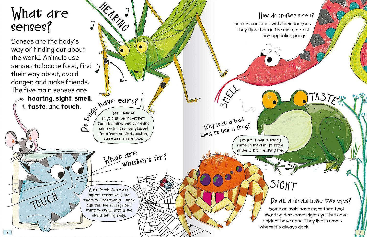 Curious Questions and Answers About Animals (Miles Kelly) | Camilla de ...