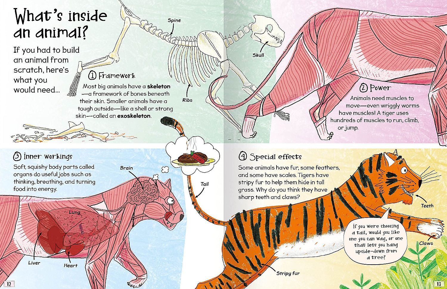 Curious Questions and Answers About Animals (Miles Kelly) | Camilla de ...