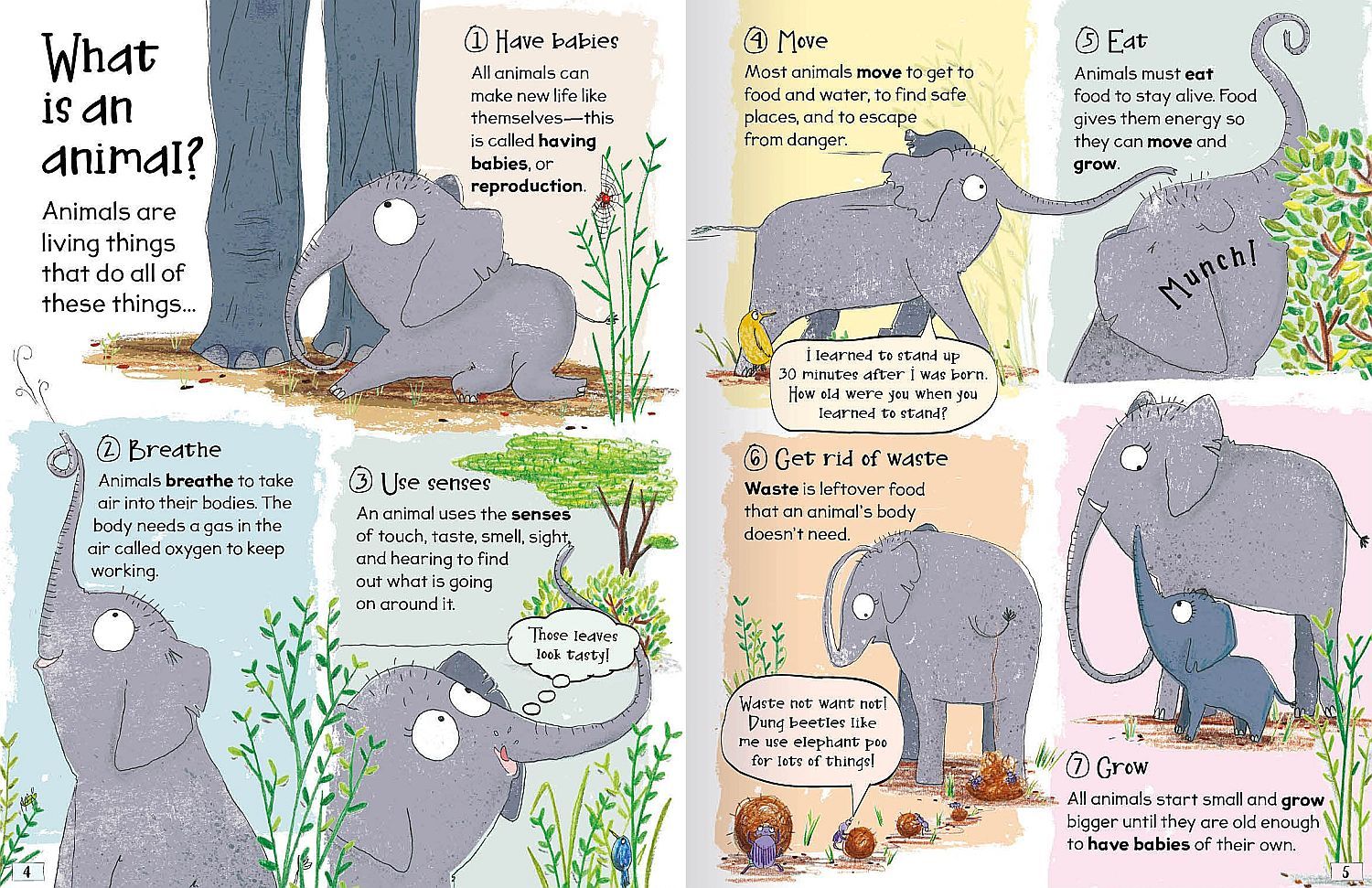 Curious Questions and Answers About Animals (Miles Kelly) | Camilla de ...