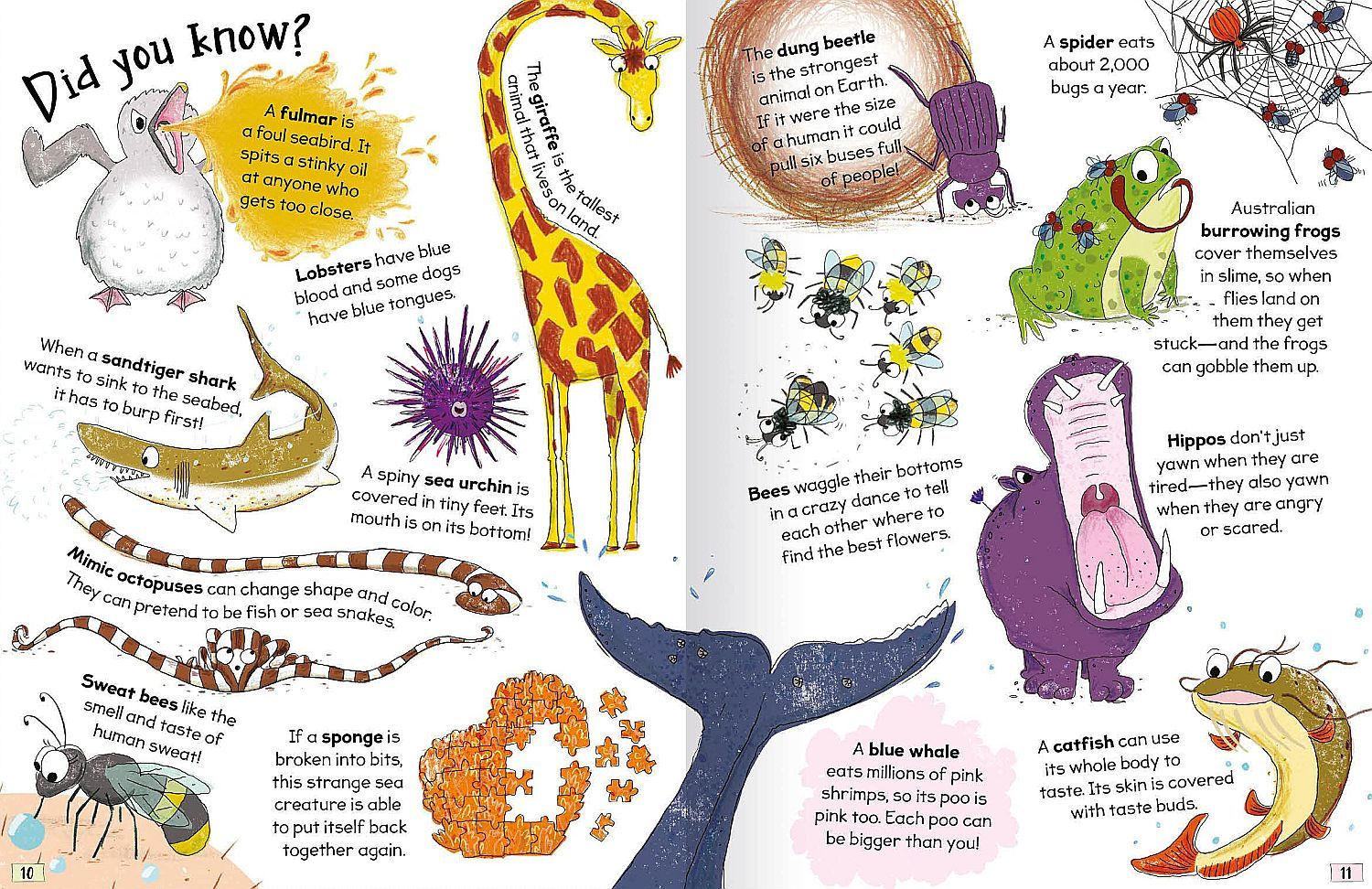 Curious Questions and Answers About Animals (Miles Kelly) | Camilla de ...