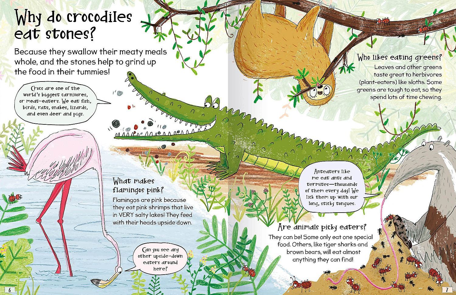 Curious Questions and Answers About Animals (Miles Kelly) | Camilla de ...