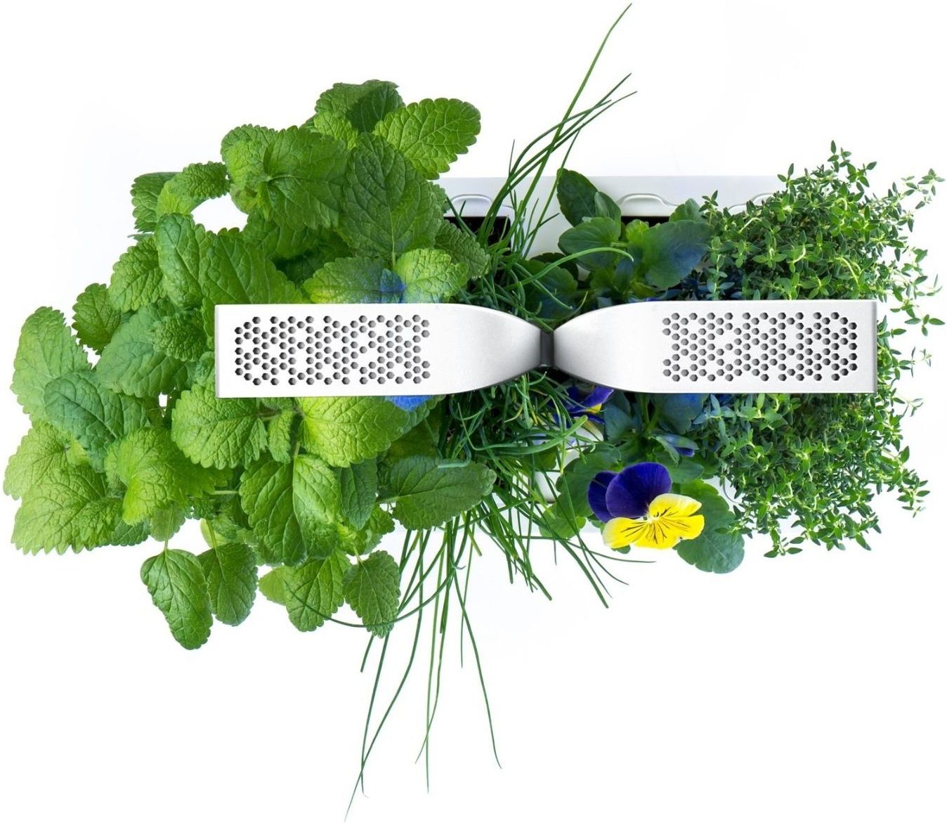 Домашна градина Veritable - Classic, 9.5 W, 4 броя пълнители, бяла ...