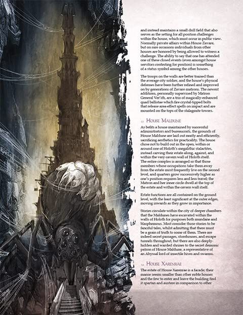 Ролева игра Dungeons & Dragons: Rise of the Drow (Collector's Edition ...