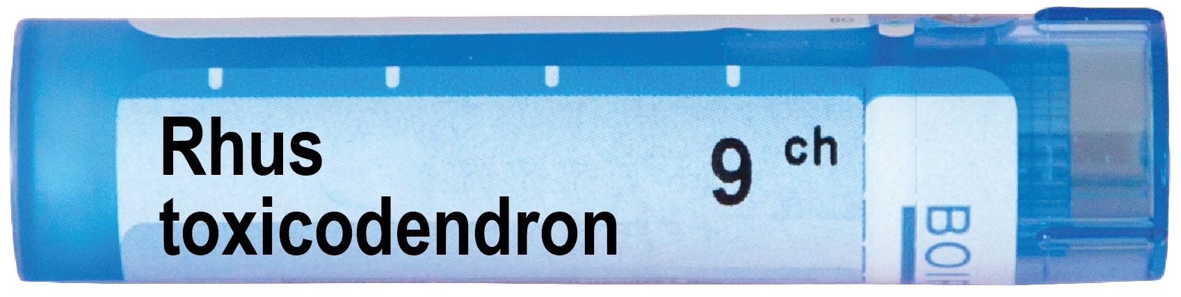 Rhus toxicodendron 9CH, Boiron | Ozone.bg