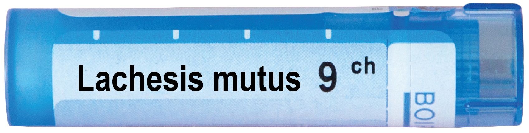 Lachesis mutus 9CH, Boiron | Ozone.bg