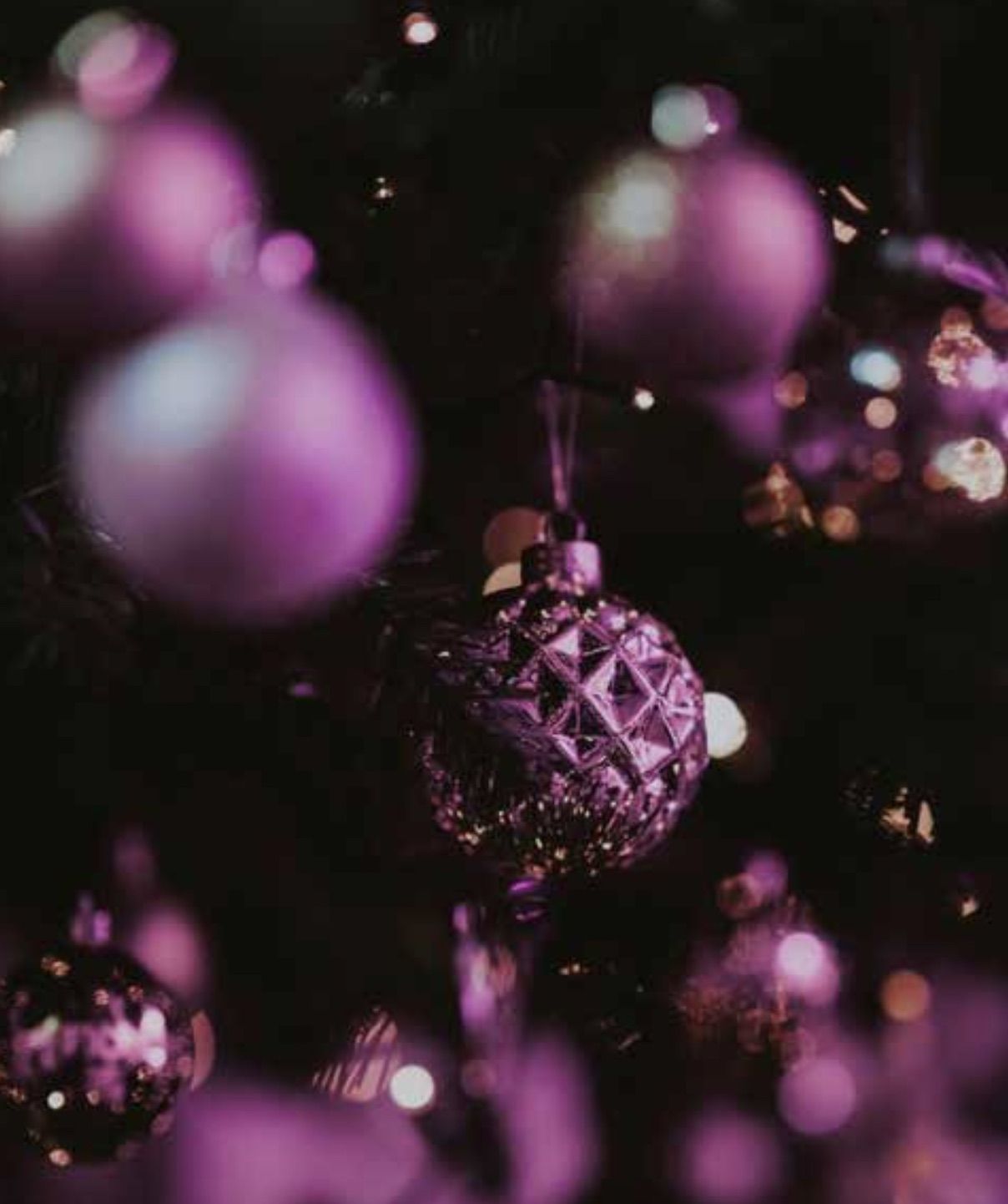 LED Лампички Eurolamp - Line, 100 броя, IP44, 31V, 3.6 W, 8.15 m, лилави | Ozone.bg