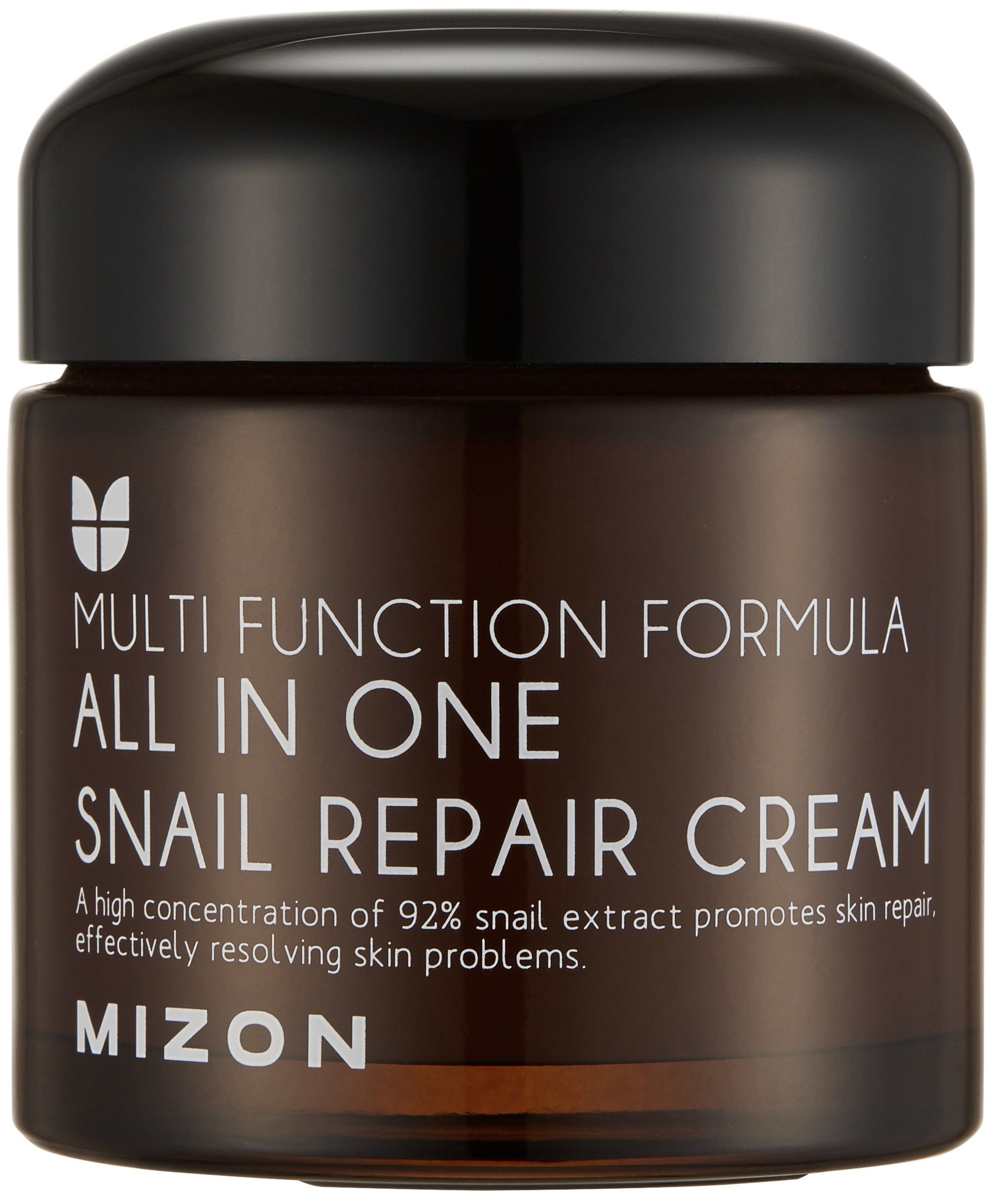 Mizon All In One Snail Repair