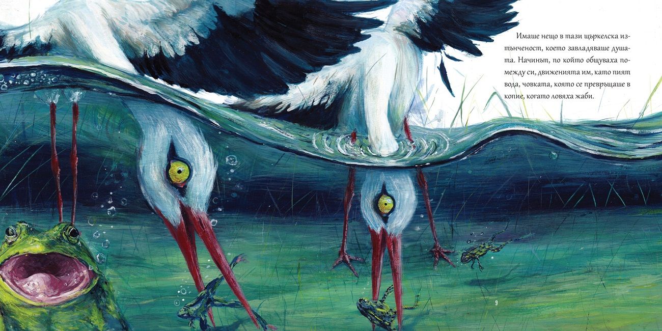 Момчето щъркел | Антонио Стефанов | Цена | Ozone.bg