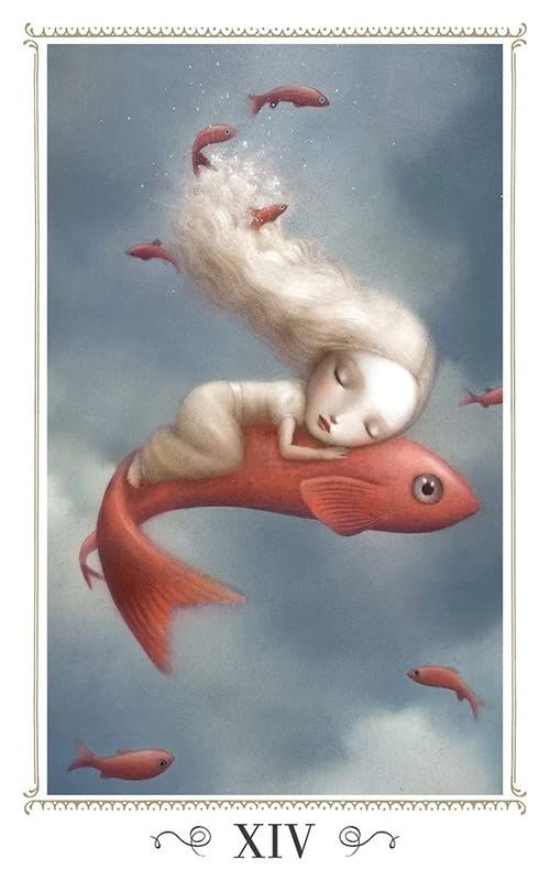 Nicoletta Ceccoli Tarot Mini Tarot 78 Card Deck And Guidebook
