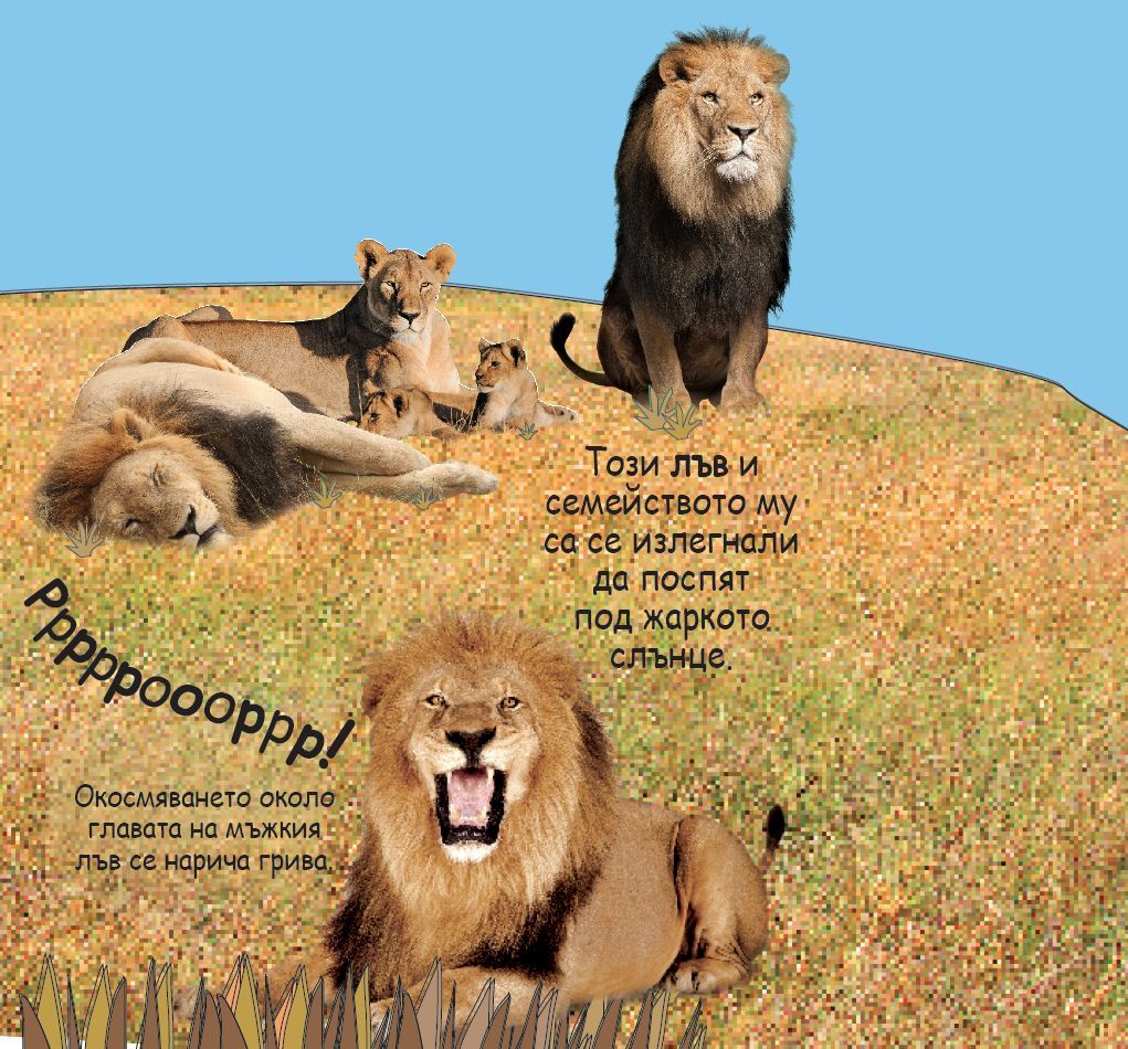 Опознай звуците: Дивата природа | | Цена | Ozone.bg