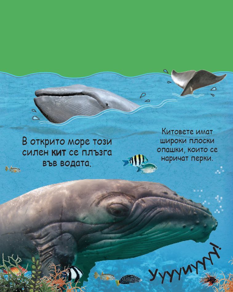 Опознай звуците: Дивата природа | | Цена | Ozone.bg