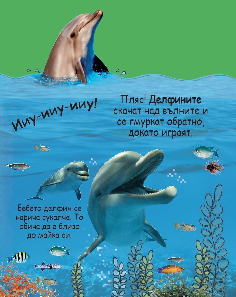 Опознай звуците: Дивата природа | | Цена | Ozone.bg