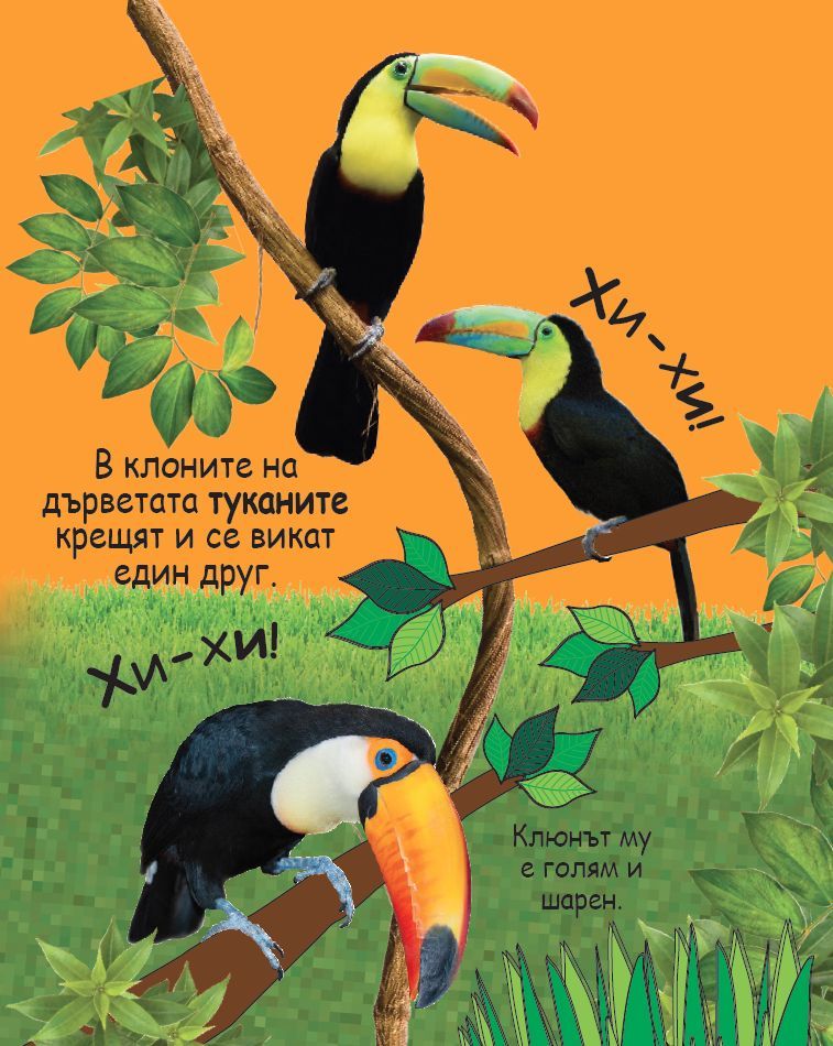 Опознай звуците: Дивата природа | | Цена | Ozone.bg