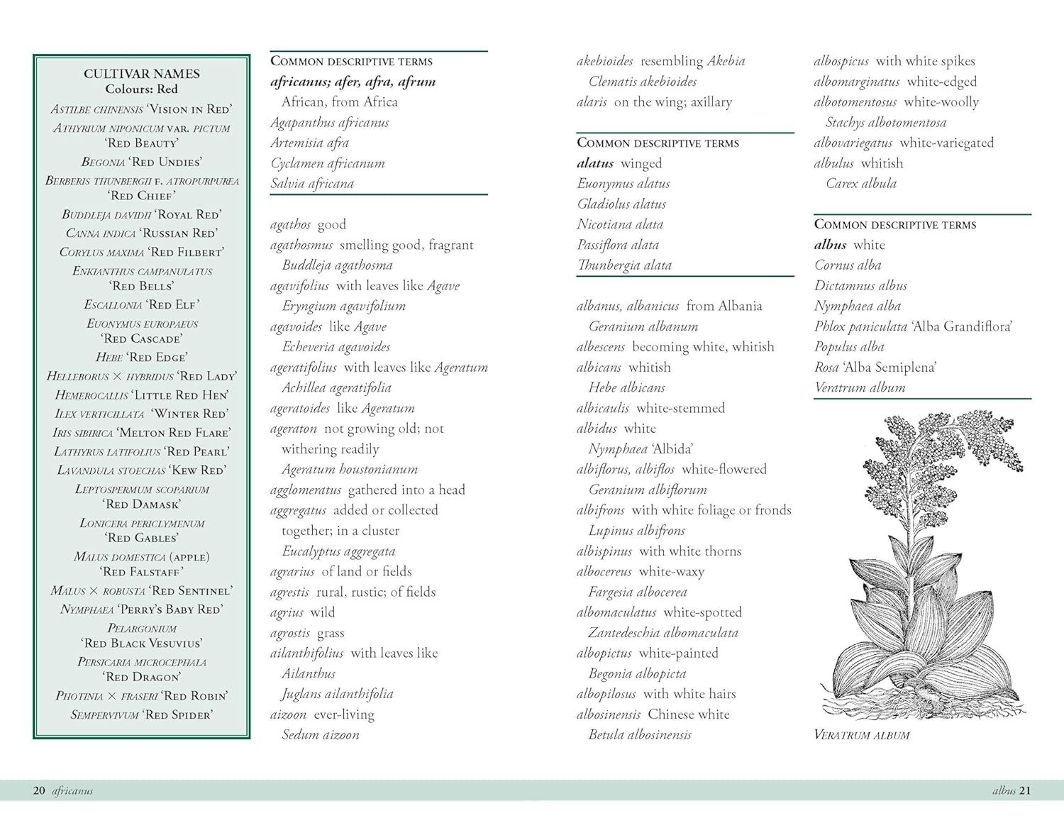 Plant Names Explained | Колектив | Цена | Ozone.bg