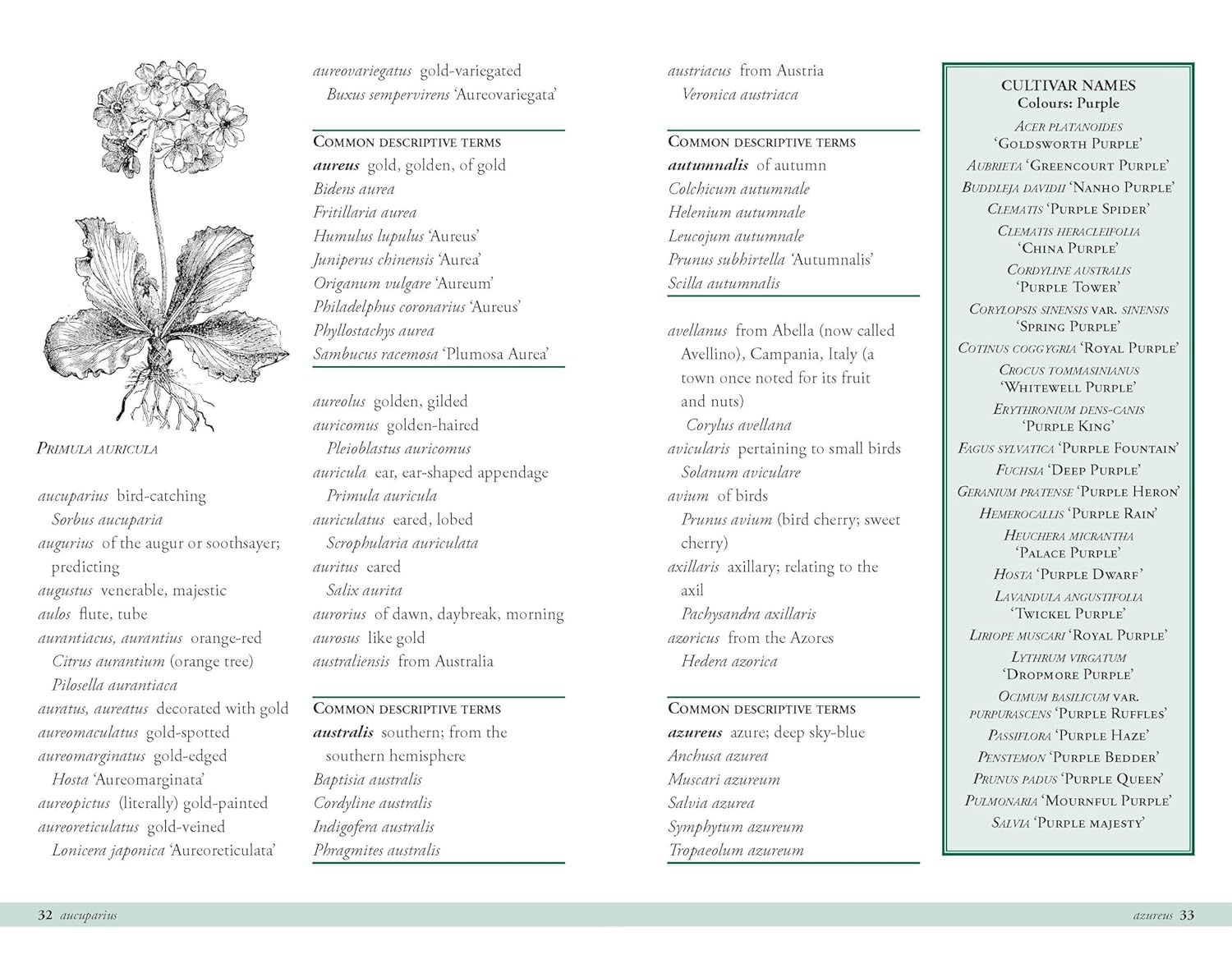 Plant Names Explained | Колектив | Цена | Ozone.bg