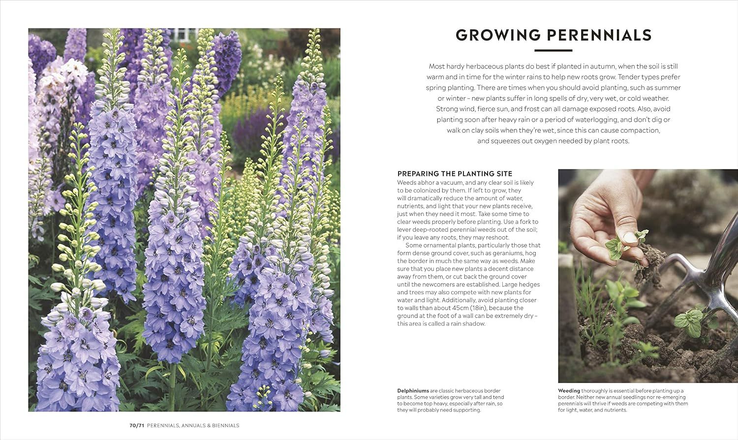 RHS How to Garden (New Edition) | Колектив | Цена | Ozone.bg