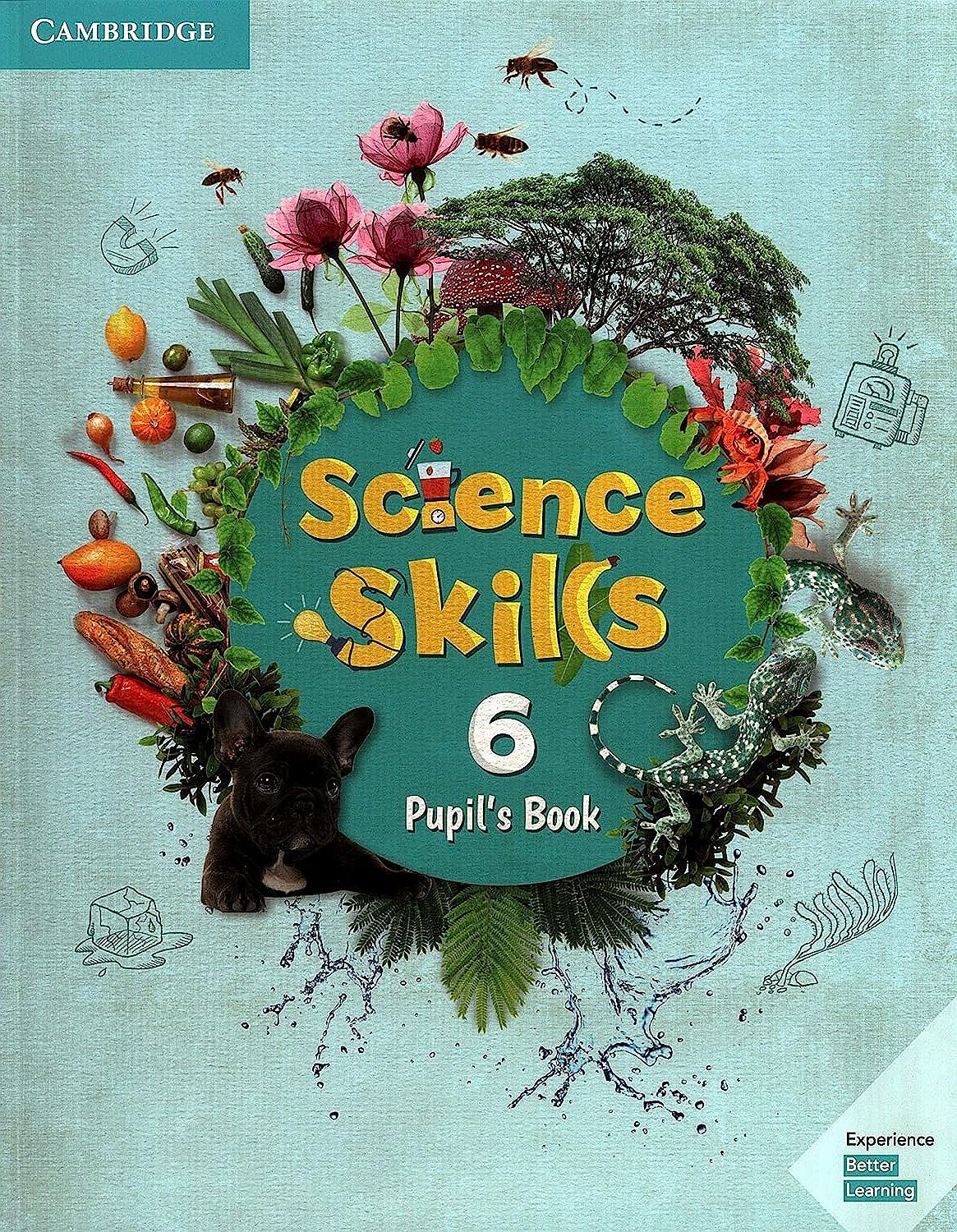 Science Skills: Pupil's Book - Level 6 | Ozone.bg