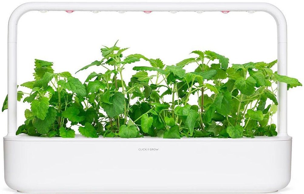 Семена Click and Grow - Котешка мента, 3 пълнителя | Ozone.bg
