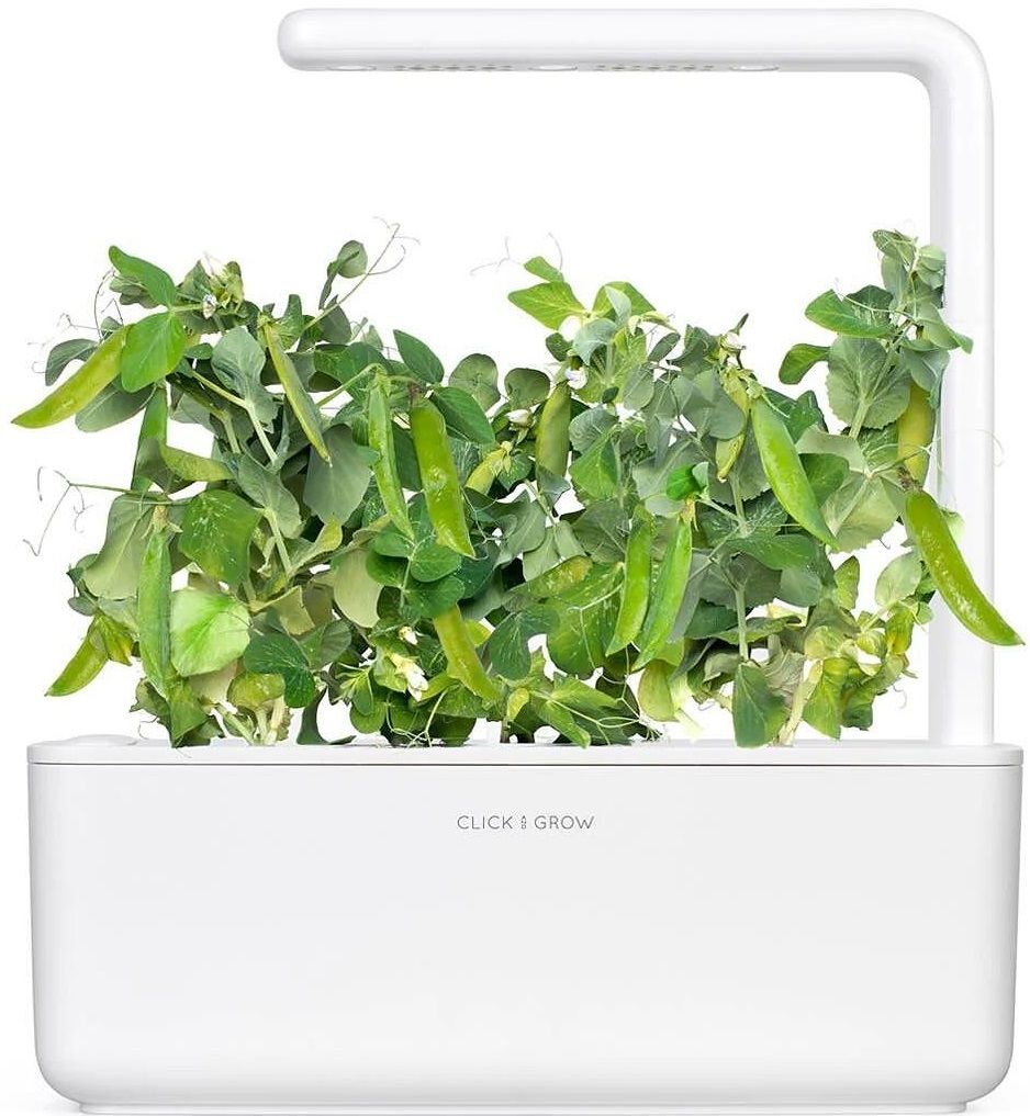 Семена Click and Grow - Грах джудже, 3 пълнителя | Ozone.bg