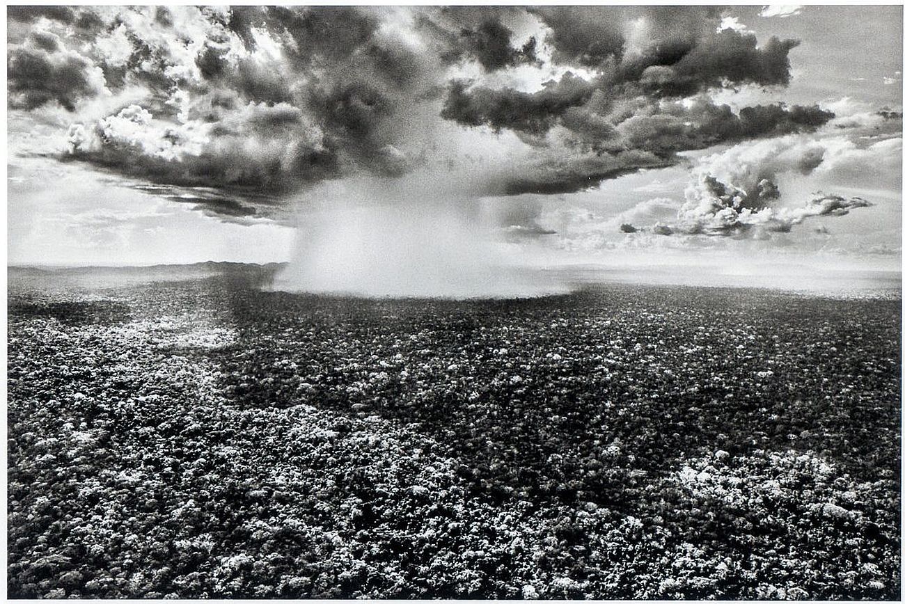 Sebastiao Salgado. Amazonia: Postcard Set | Sebastiao Salgado | Цена ...