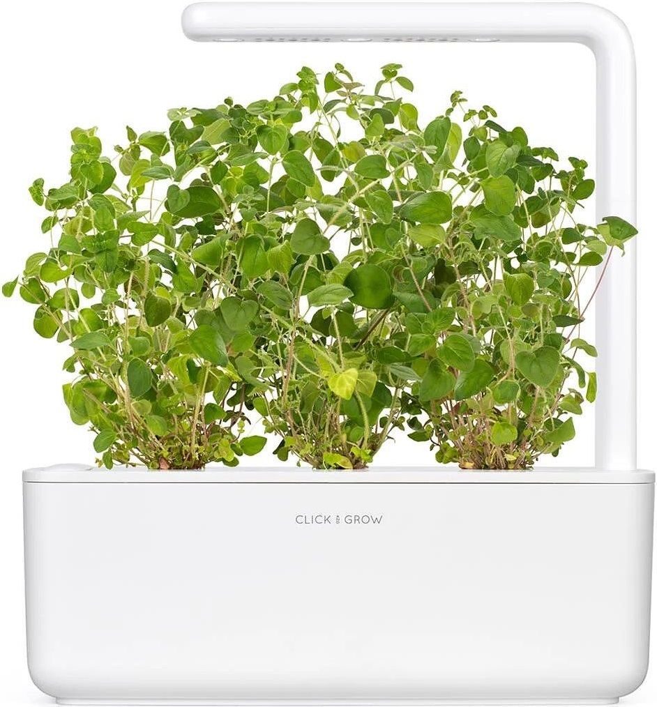 Семена Click and Grow - Риган, 3 пълнителя | Ozone.bg