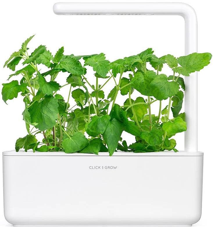 Семена Click and Grow - Котешка мента, 3 пълнителя | Ozone.bg