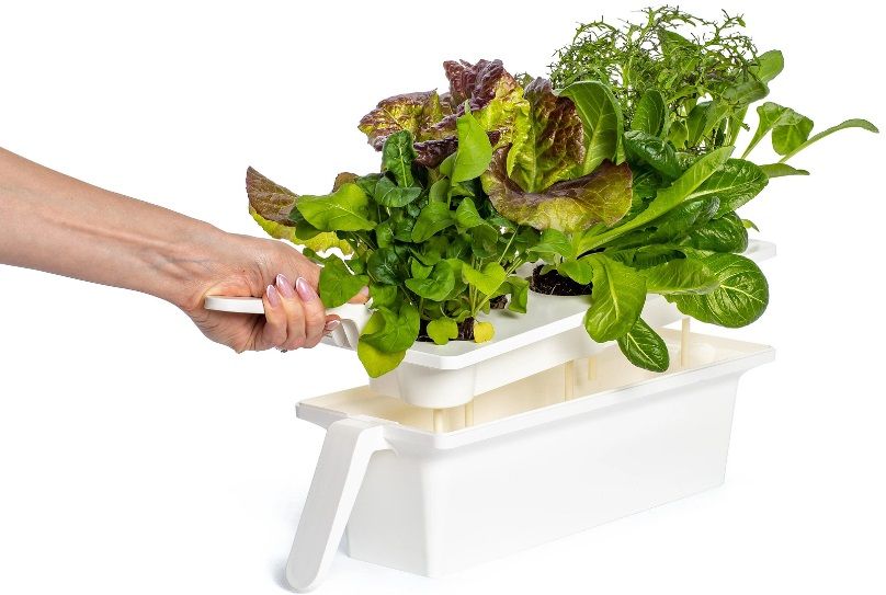 Смарт саксия Click and Grow - Smart Garden 25, бяла | Ozone.bg
