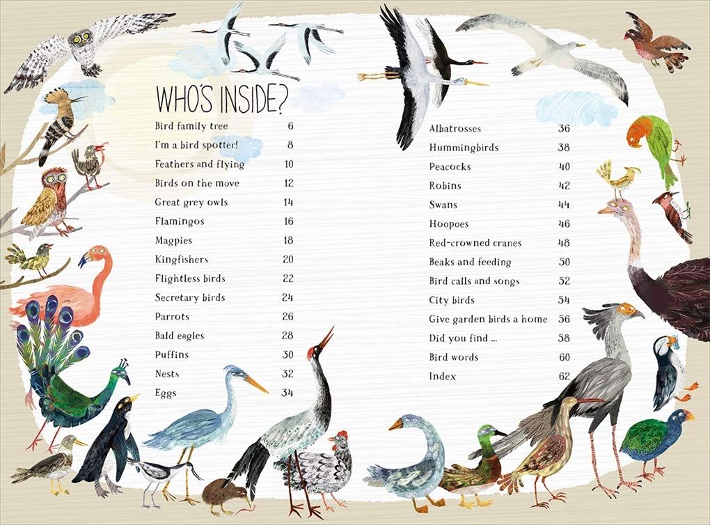 The Big Book of Birds | Ювал Зомер | Цена | Ozone.bg