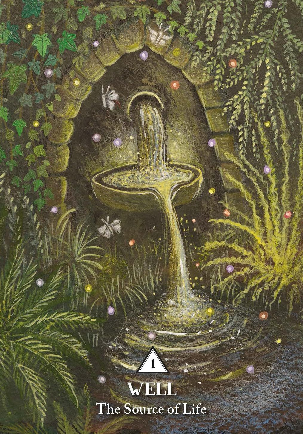 The Rooted Woman Oracle (A 53-Card Deck and Guidebook) | Шарън Блеки ...