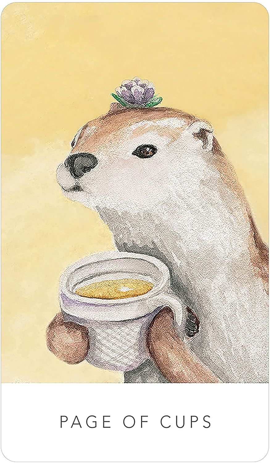 White Sage Tarot (78-Card Deck and Booklet) | Тереза Хъч | Цена | Ozone.bg