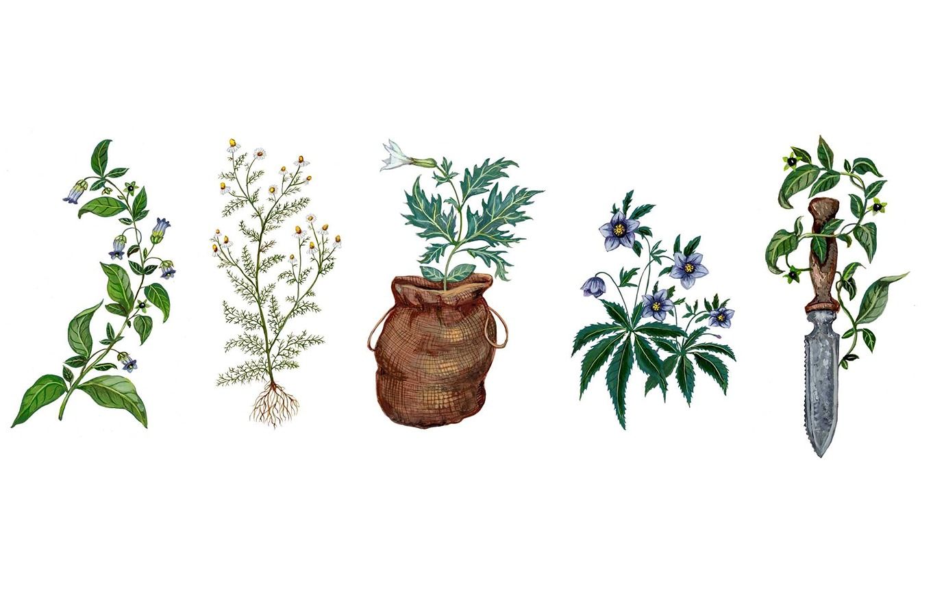 Wild Witchcraft: Folk Herbalism, Garden Magic, and Foraging for Spells ...